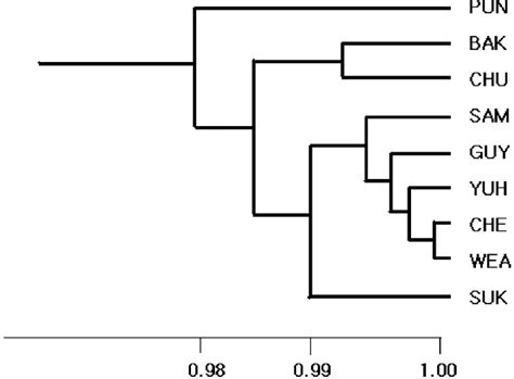 UPGMA Phenogram Based On The Nei S 1972 Genetic Identity For Nine Download Scientific Diagram