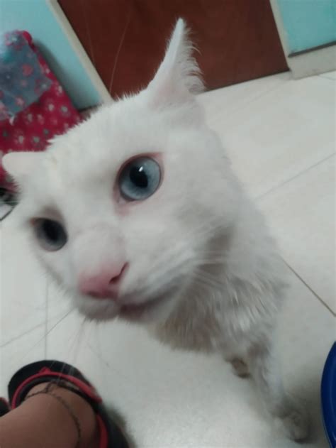 Create A Pubertos De Octavo Tier List Tiermaker