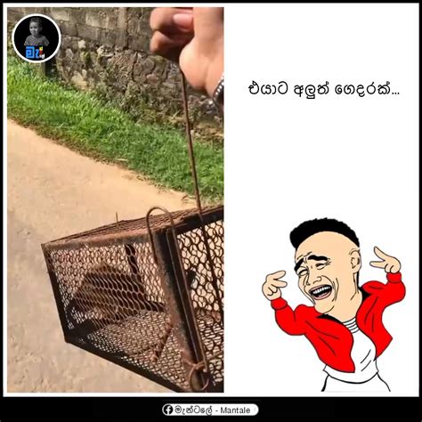 😂 | By මැන්ටලේ-mantale