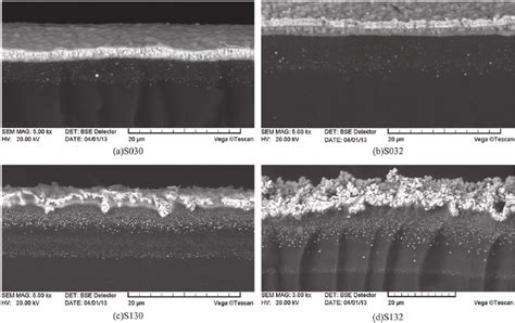 Cross Section Morphologies Of Samples Download Scientific Diagram