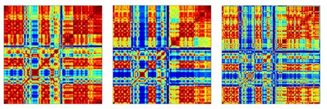 6 Self Similarity Matrices Calculated From The Activation Patterns Of