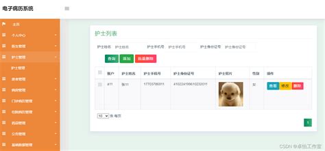 【计算机毕业设计】323电子病历系统 Csdn博客