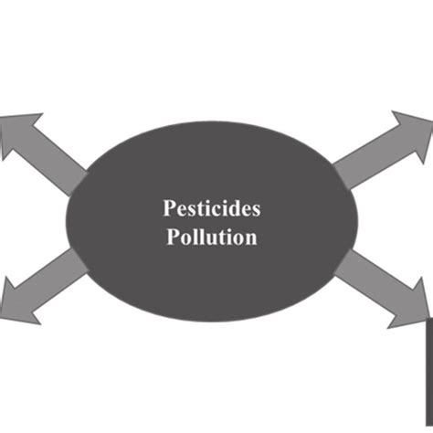 1 Different Sources Of Pesticides Contamination Download Scientific