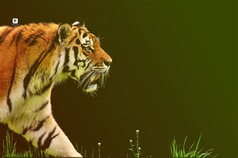 Future Connect Training And Recruitment Ltd On Linkedin Future Connect Monday Motivation