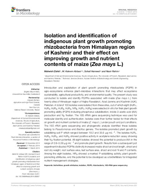 Pdf Isolation And Identification Of Indigenous Plant Growth Promoting Rhizobacteria From