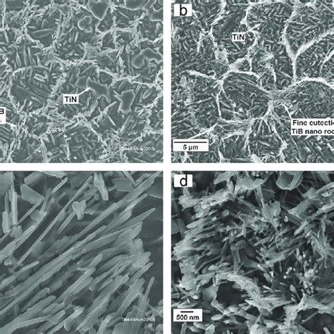 Pdf In Situ Synthesized Tib Tin Reinforced Ti6al4v Alloy Composite
