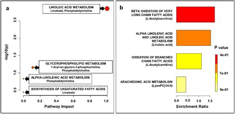 Results Of Pathway Topology Analysis Of Selected Statistically Download Scientific Diagram