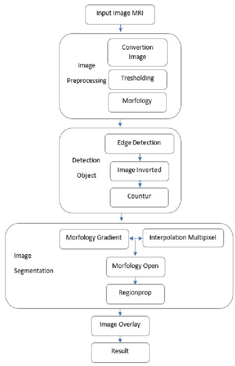 Stages Of The Ground Glass Opacities Ggo Detection Process Figure 1