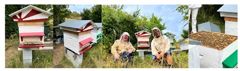 Streamlining Agriculture Operations With Serverless Anomaly Detection