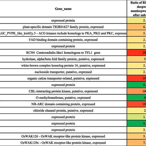 The Candidate Genes For Deepwater Qtls And Heat Map Of The Ratio Of