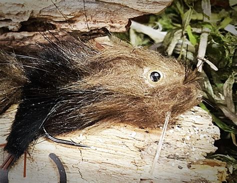 Three Types Of Weedless Fly Design Fly Tying J Stockard
