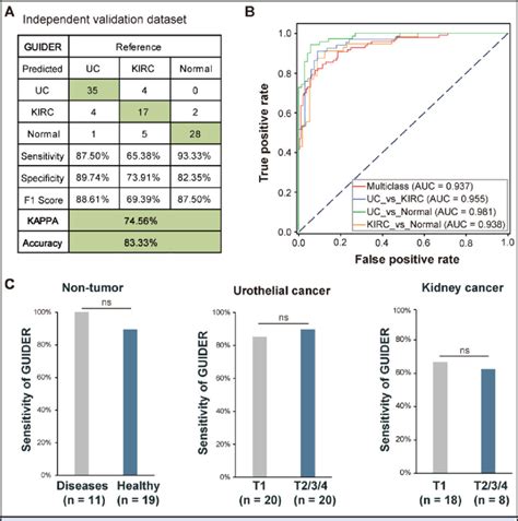Diagnostic Performance Of Guider In The Independent Validation Dataset