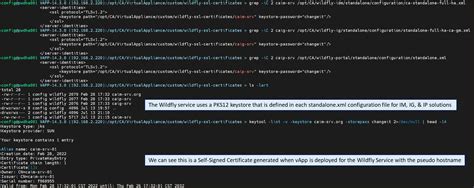 adding wildcard certificates to virtual appliance ana technology partner
