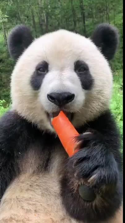 Video Prashant Srivastava On Linkedin Its Common For Individuals To