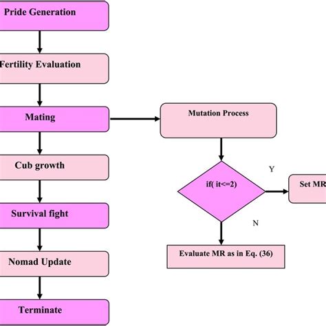 Flow Chart Of The Proposed Algorithm Nmr‐la Download Scientific Diagram
