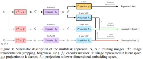 Contrastive Learning For Out Of Distribution
