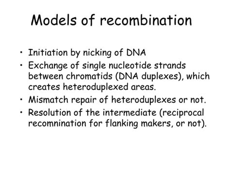 Models Of Recombination Models Of Recombination Ppt