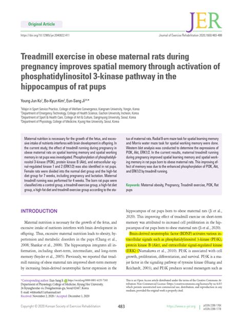 Ko Treadmill Exercise In Obese Maternal Rats During Pregnancy Improves