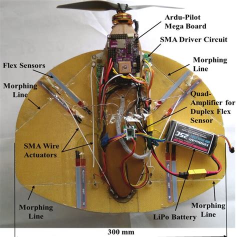 Four Segment Morphing Mav With Dual Flex Sensors Sma Actuators And Download Scientific