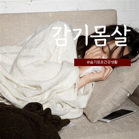 감기몸살 증상 코로나 차이 감기몸살약 네이버 블로그