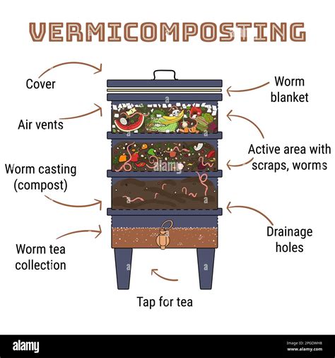 Infographic Of Vermicomposting Components Of Vermicomposter Infographic Of Vermicomposting Components Of Vermicomposter