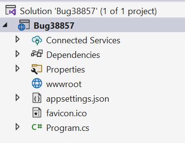 Webapplicationbuilder Should Not Require Wwwroot Directory Issue Dotnet Aspnetcore
