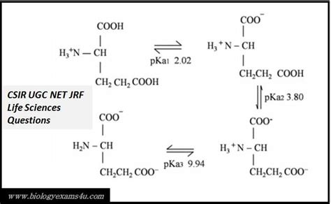 Csir Ugc Net Jrf Life Sciences Biochemistry Questions Unit 1 Molecules And Their Interaction