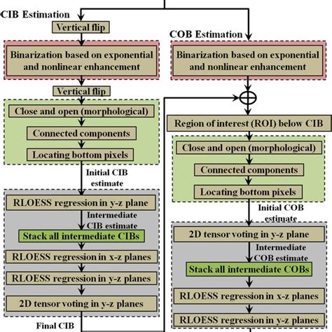 Schematic Algorithm To Demarcate The Inner And Outer Choroidal