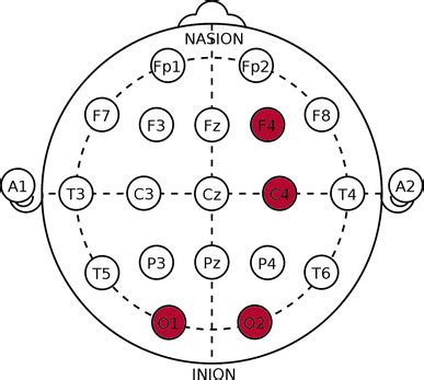 The International System Scalp Map Placement For EEG Channels