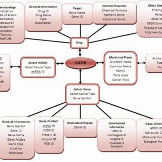 Database Structure Download Scientific Diagram