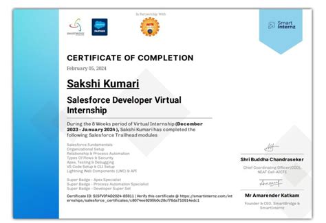 Sakshi Singh Rajput On Linkedin Smartinternz Salesforce