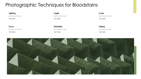 Comprehensive Guide To Bloodstain Pattern Analysis Techniques And Applications PPT Example ST AI