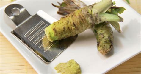 Wasabi Toothpaste Village Vanguard From Japan Time