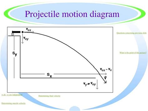 Projectile Motion Diagram
