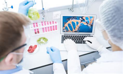Abecma Idecabtagene Vicleucel Car T Cell Therapy By Bristol Myers