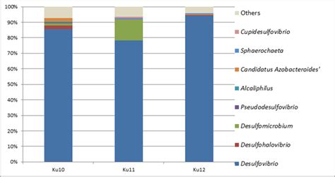 The Relative Abundance Of The 8 Main Bacterial Genera According To The