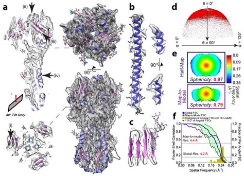 Addressing Preferred Specimen Orientation In Single Particle Cryo Em Through Tilting Abstract