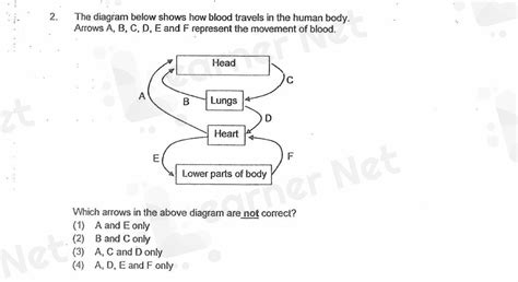 Exam Paper Question Sgp6sciencechij St Nicholas Girls School2017