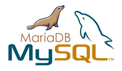 Mariadb Connectornodejs When Connecting To Local Databases