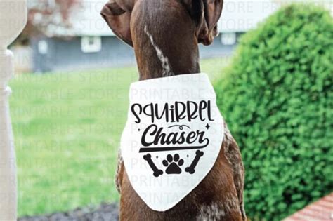 Squirrel Chaser Svg Graphic By Printablestore · Creative Fabrica