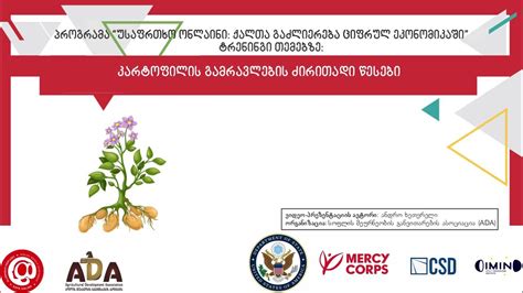 კარტოფილის გამრავლების ძირითადი წესები Youtube