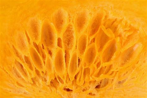 Can You Guess These Foods From Their Extreme Close Ups