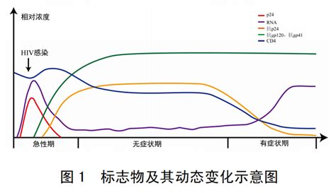 感染hiv多久会出现症状 知乎