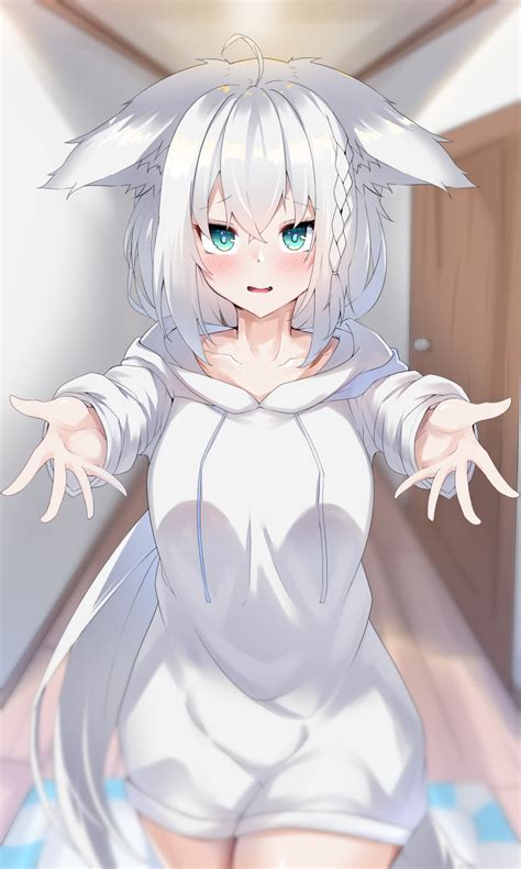 Amato 0321 Shirakami Fubuki Hololive Absurdres Commentary Request