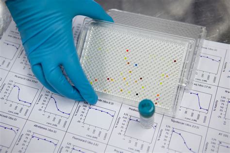 Robust Scoring Of Selective Drug Responses For Patient Tailored Therapy