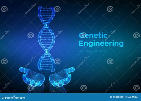 Dna Sequence In Hands Wireframe Dna Molecules Structure Mesh Dna Code