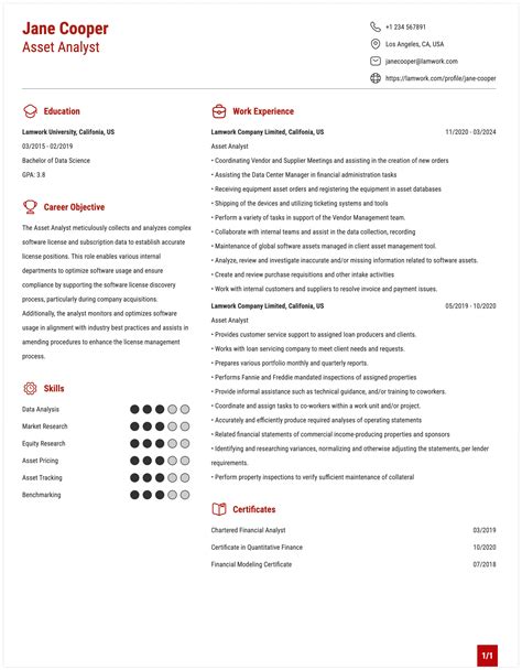 Asset Analyst Resume Example