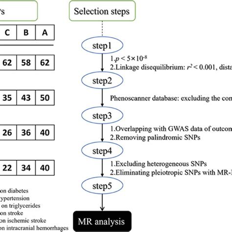 Ivs Selection Flow Abbreviations Mr Mendelian Randomization Ld