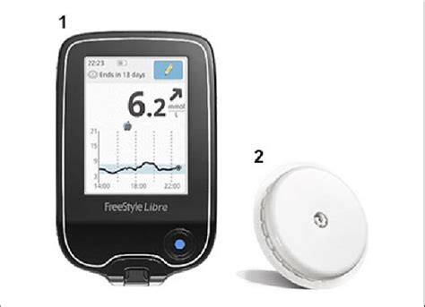 Continuous Glucose Monitoring System How Does It Work At Christa Pomeroy Blog