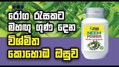 රෝග රැසකට මහගු ගුණ දෙන විශ්මිත කොහොඔ ඔසුව Youtube